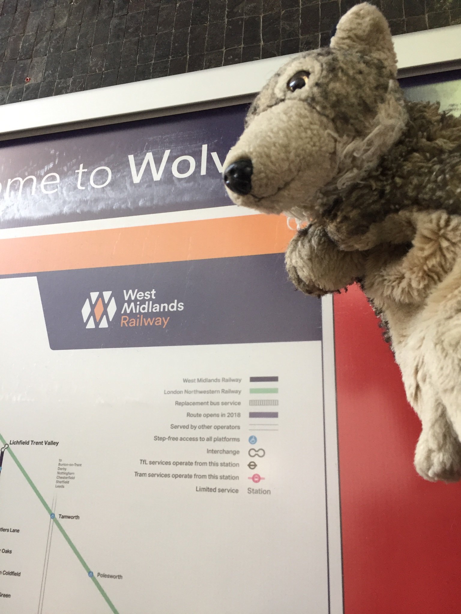 Mr. Wolfy (@mrmacwolfy) / Twitter