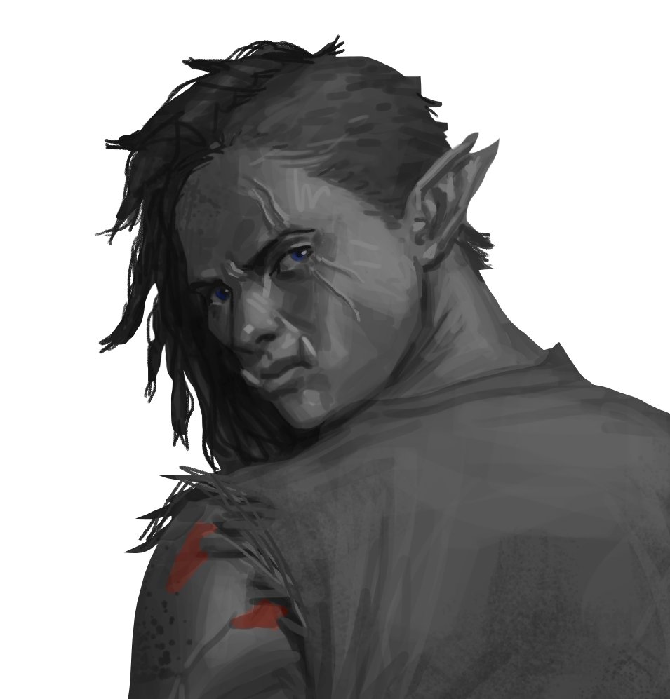 Half Orc Portrait