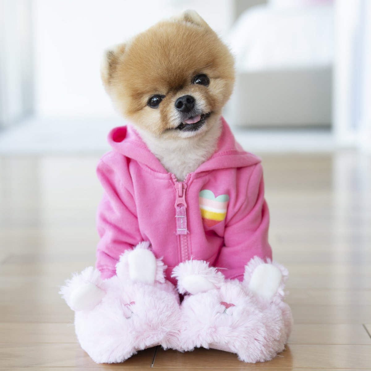 jiffpom @jiffpom Timeline, The Visualized Twitter (Analytics)