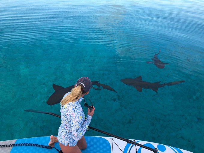 Airhead Towables, Snow Tubes, Floats, Wakeboards & More