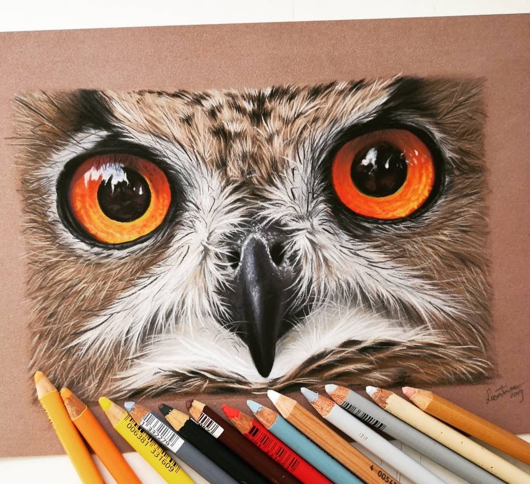 Owl Eyes Pencil Drawing