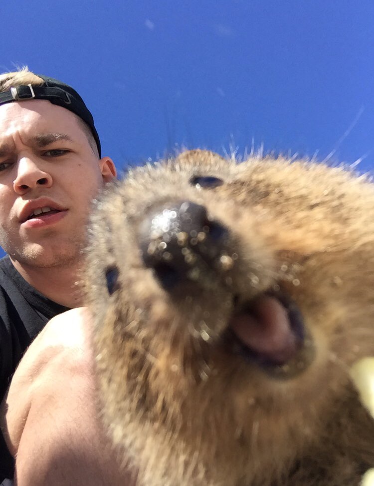 176 best Twitter Smh images on Pholder | WORLDSTAR, Bobby Brown BET and ...