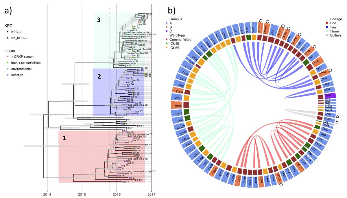 Chuling Ding (@ChulingD) | Twitter