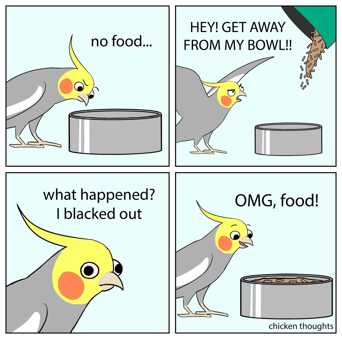 「Featuring Yasmín's conure Beaker and bunnies Charlie, Lily, 」Chicken ...