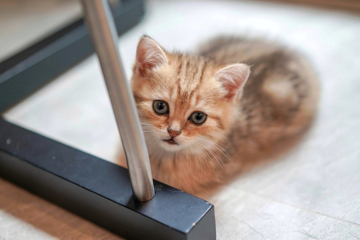 kanniga 7777 (@7777Kanniga) | Twitter