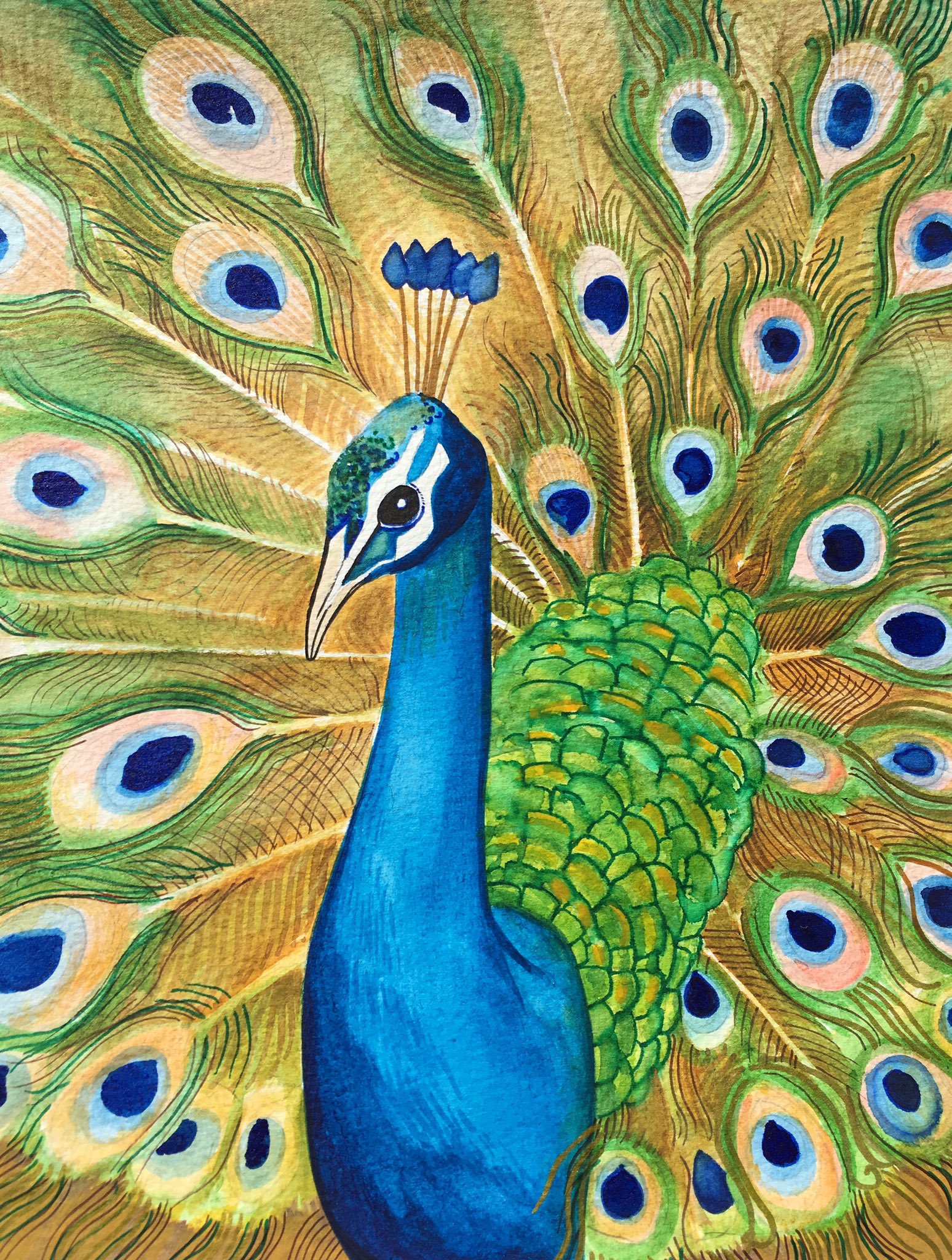 Hera Greek Goddess Symbol Peacock The Peacock In Myth, Legend, And