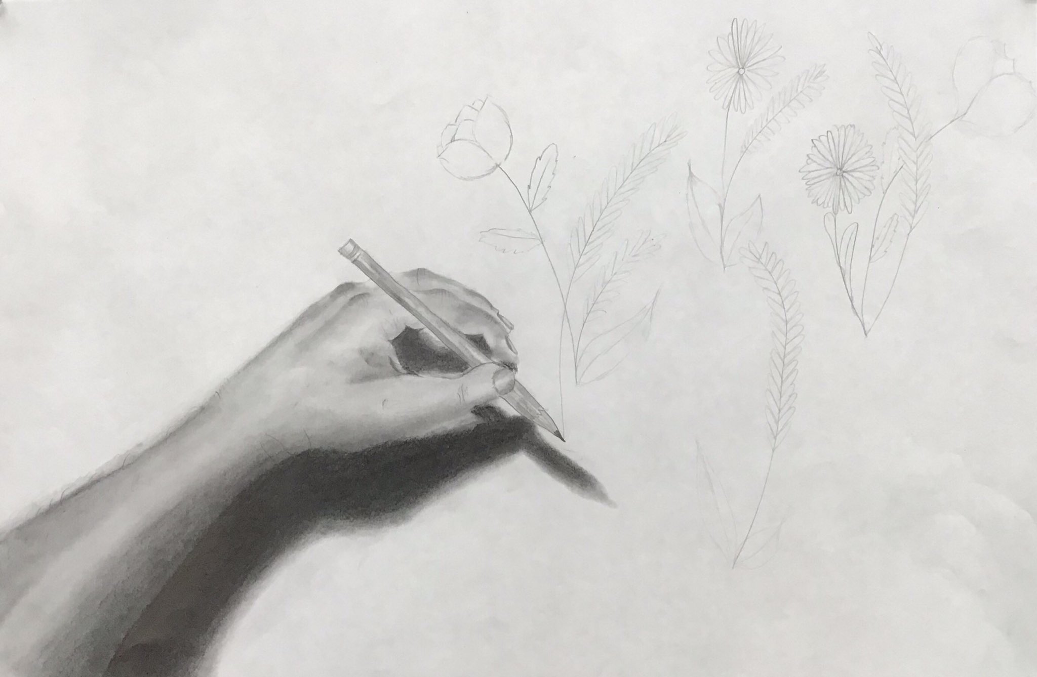 Observational Drawing Hands