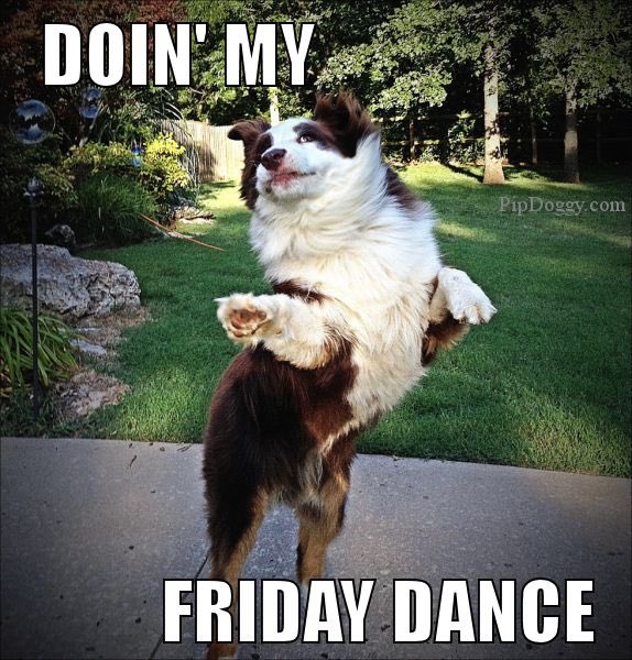 Happy Friday Memes Dogs