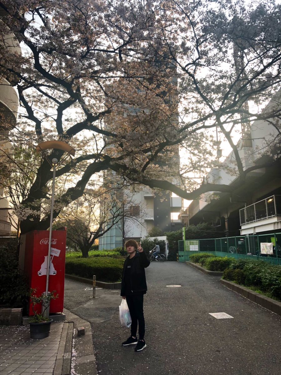 「コンビニの帰りを花見と言い張る? 」むつき潤 Mutsuki Junの漫画