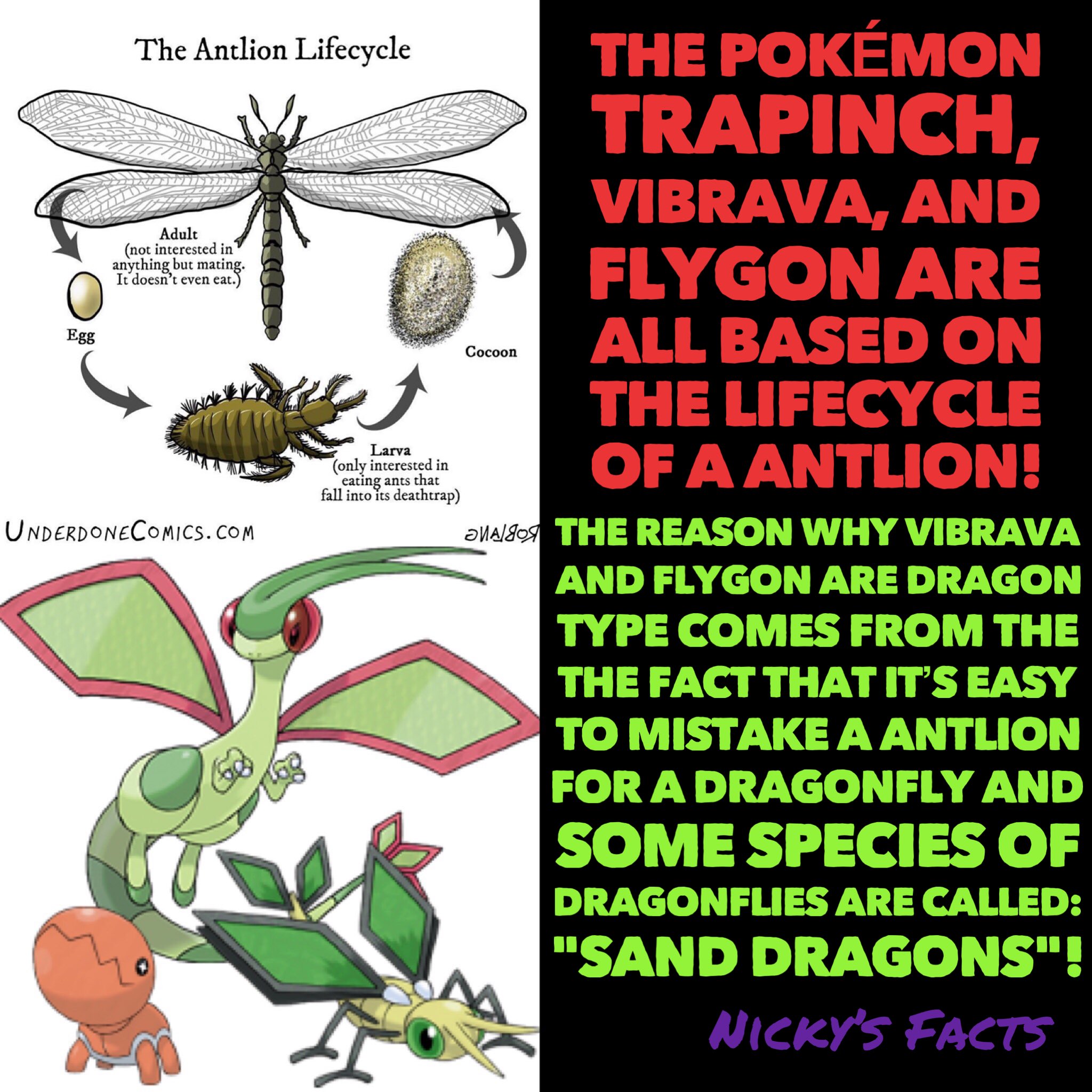 Pokemon Flygon Evolution Chart
