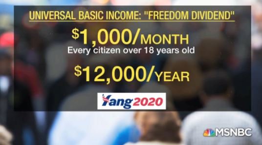 145 best Universal Basic Income images on Pholder | Basic Income, Yang ...