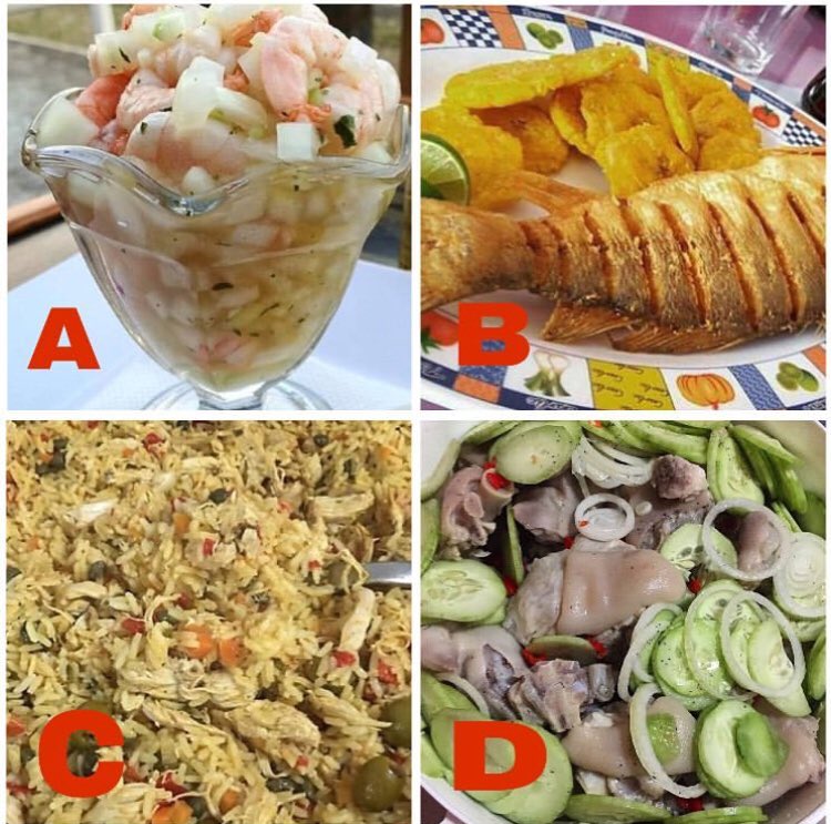 saus : Últimas noticias y actualidad en vivo | Scoopnest