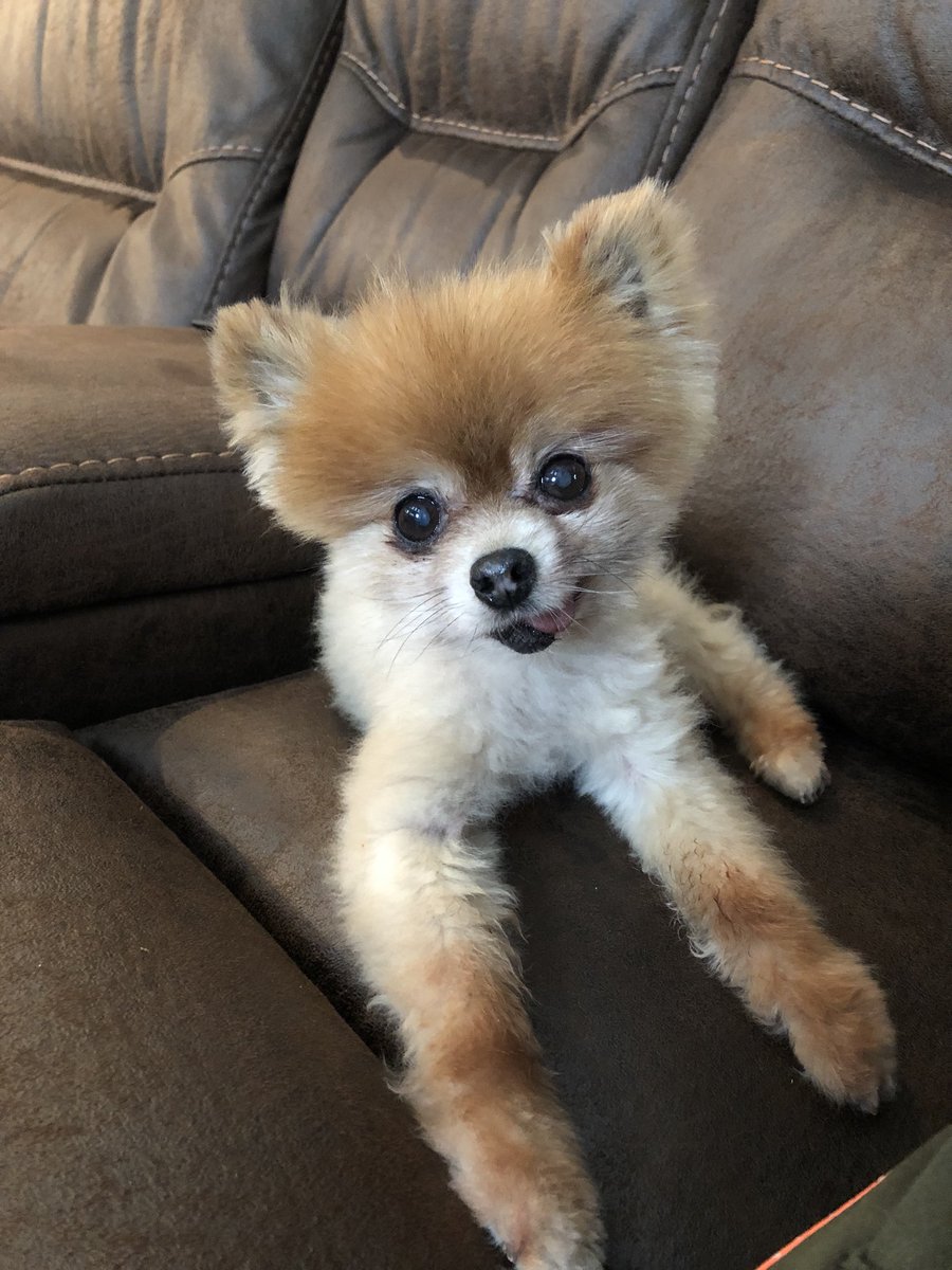 126 best Twitter @codyrhodes images on Pholder | ...also take 1 👀 ️ I’m ...