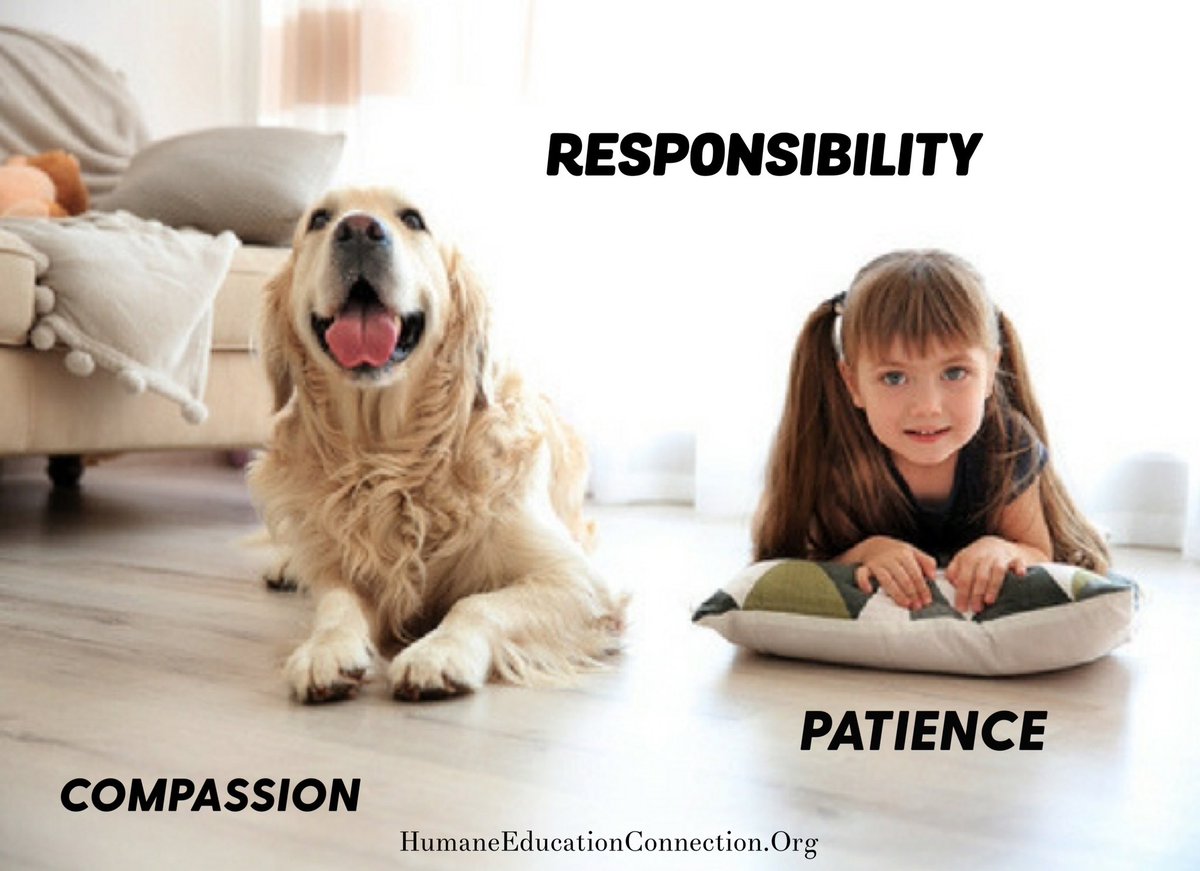 Humane Education Connection on Twitter: "Having a pet can teach ...