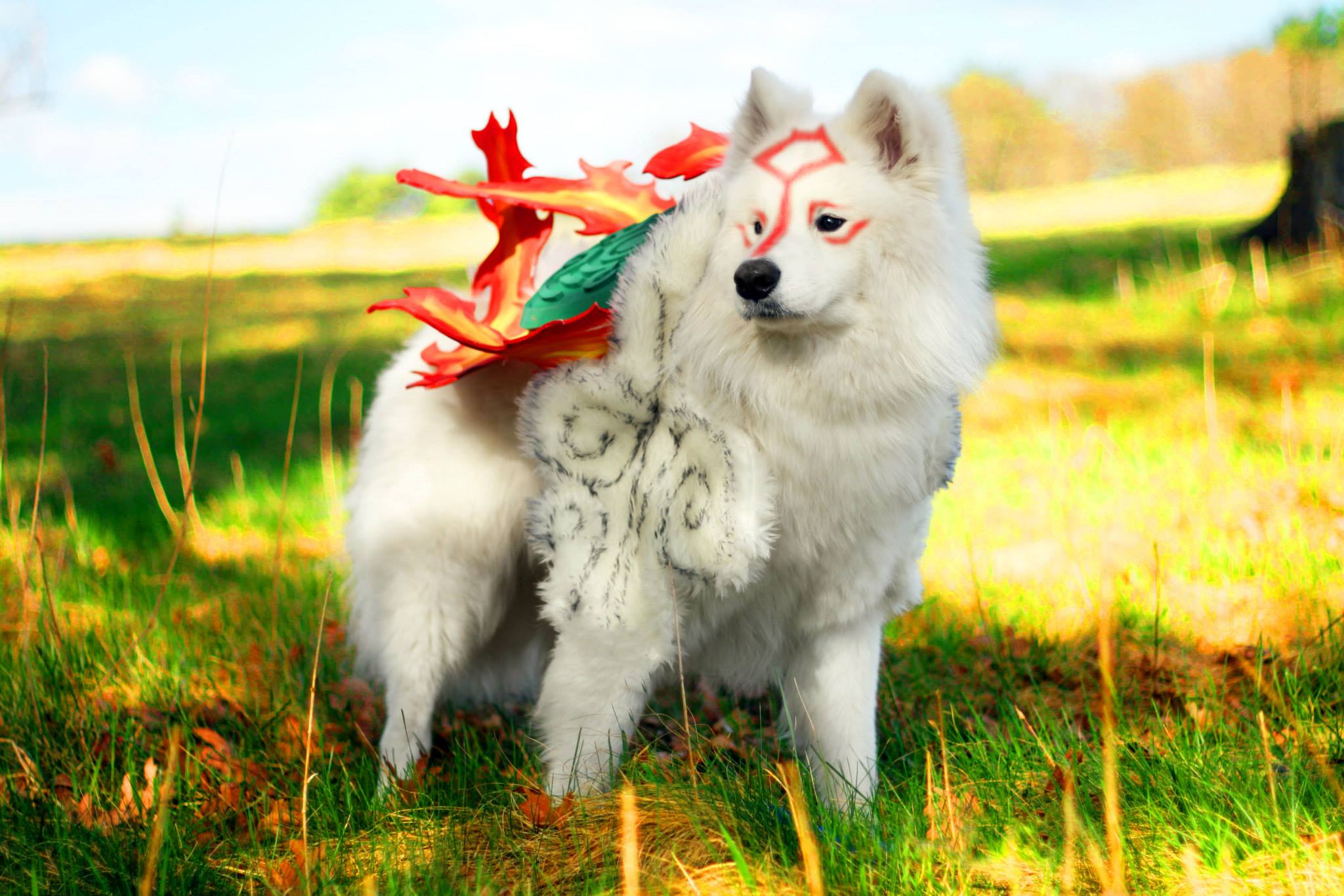 Okami Amaterasu Dog Cosplay