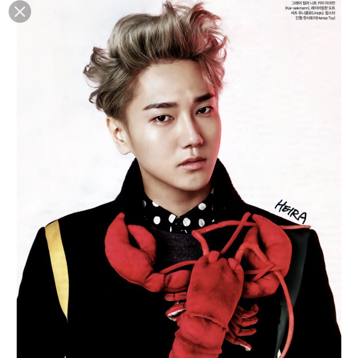Yesung Hair