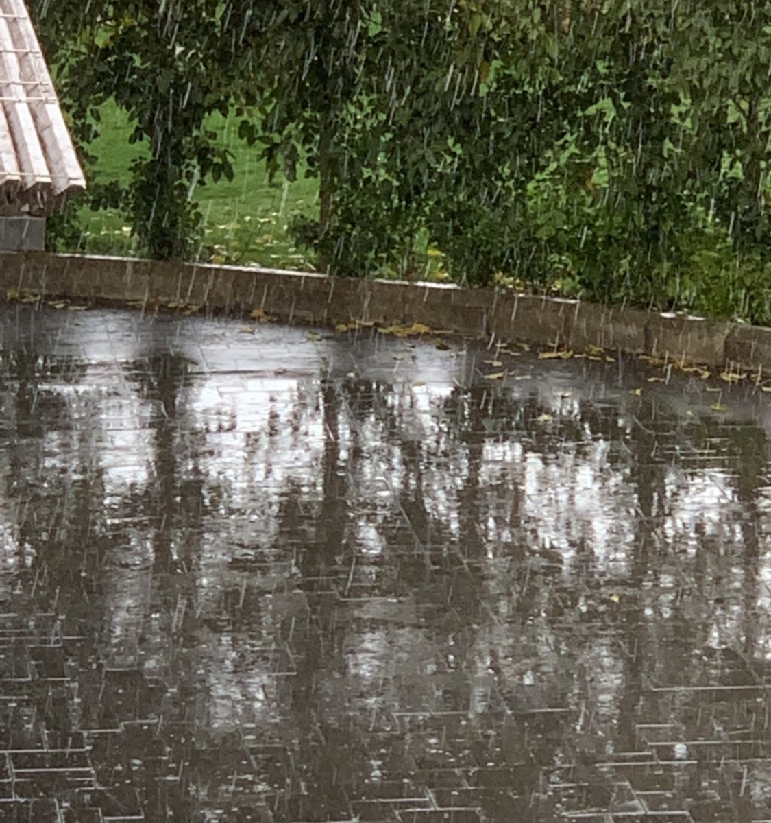 218 best Twitter Rima_talal images on Pholder | اللهم إنك تراه ولا أراه ...