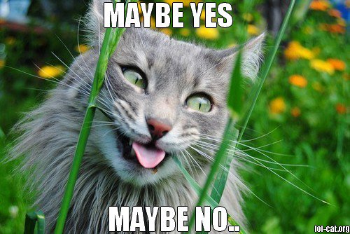 Excited Lolcat