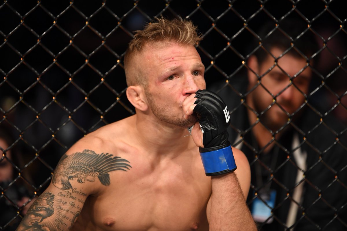 173 best Dillashaw images on Pholder | MMA, Ufc and Danawhite