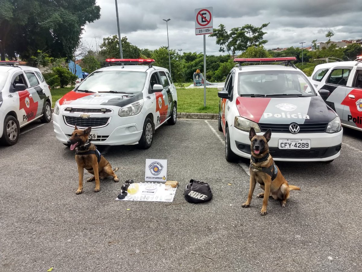 Polícia Militar Do Estado De São Paulo On Twitter Com O Apoio De Cães