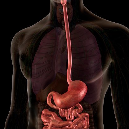 La esofagitis eosinofílica es una enfermedad crónica del esófago que ...