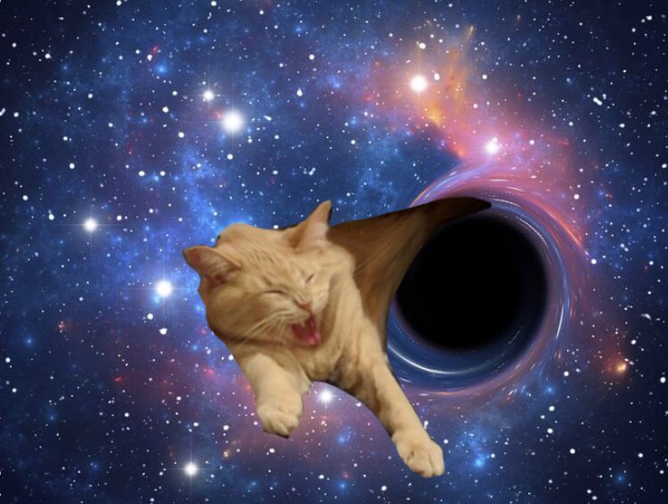 Black Hole Cat