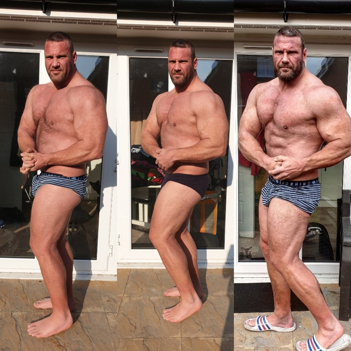 Terry Hollands