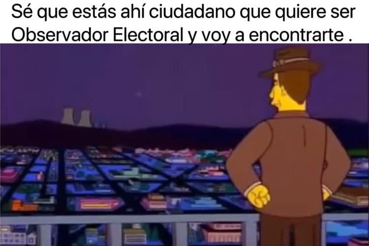 Memes Sobre Ciudadanos Los Memes De Las Elecciones 2024 Arrasan En Las