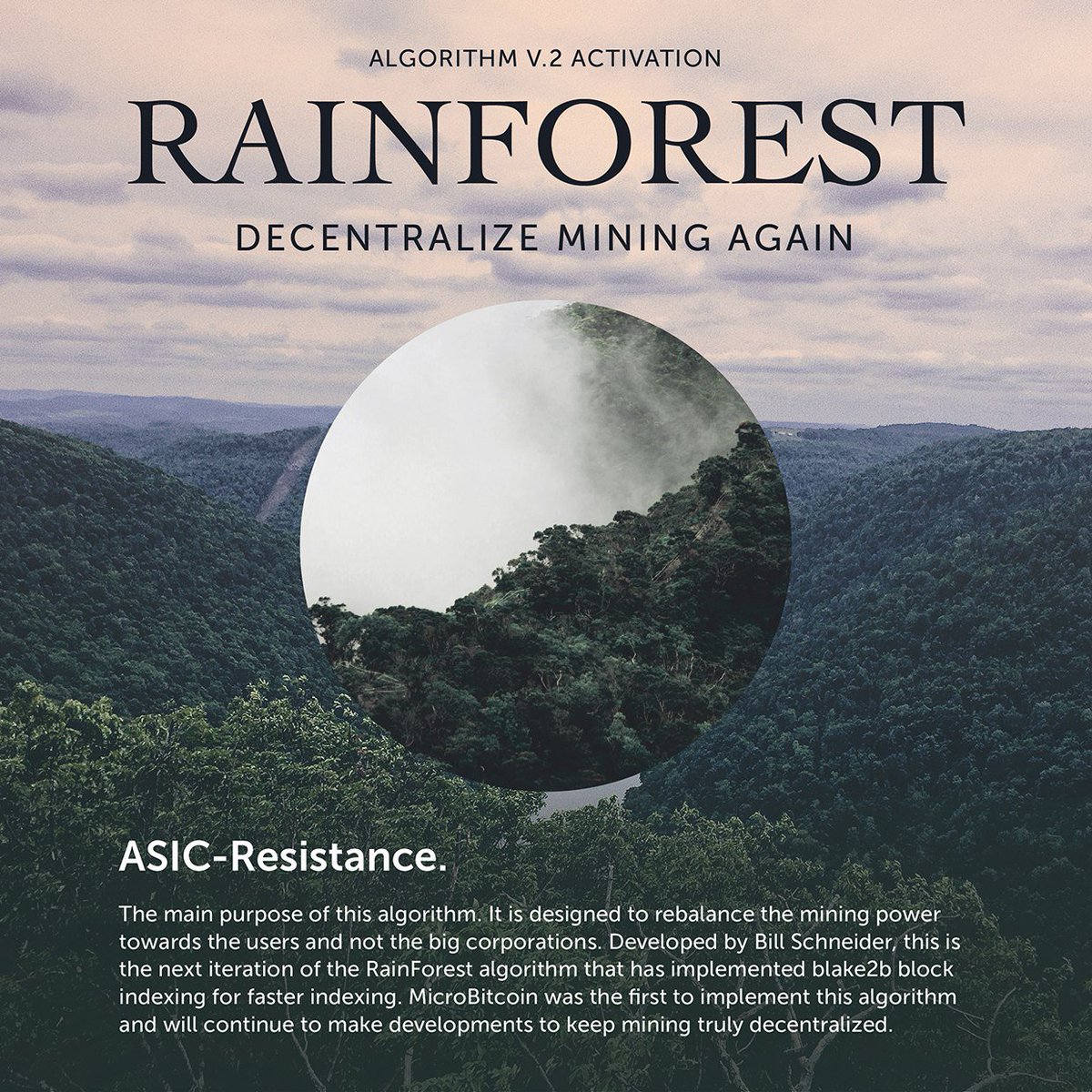 Developerseyes (@developerseyes) | Twitter