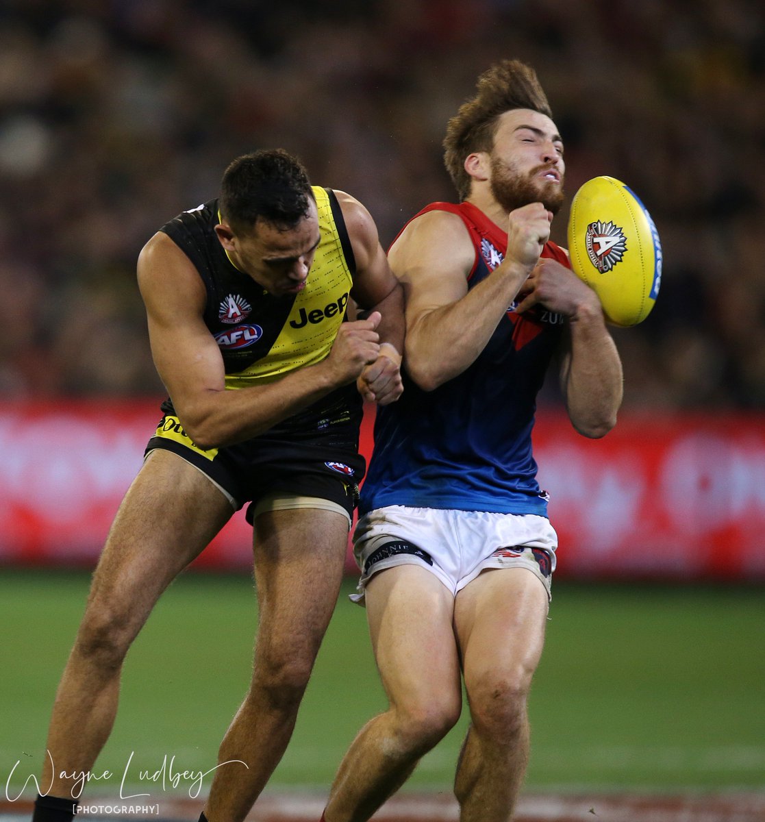 What other special moments should be immortalised in bronze like Tayla ...