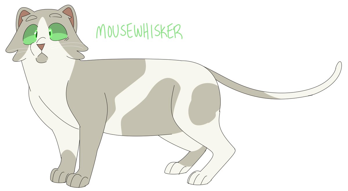 Mousewhisker Warriors