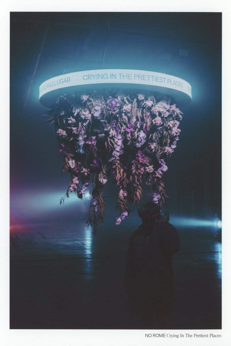 162 best Twitter @no_rome images on Pholder