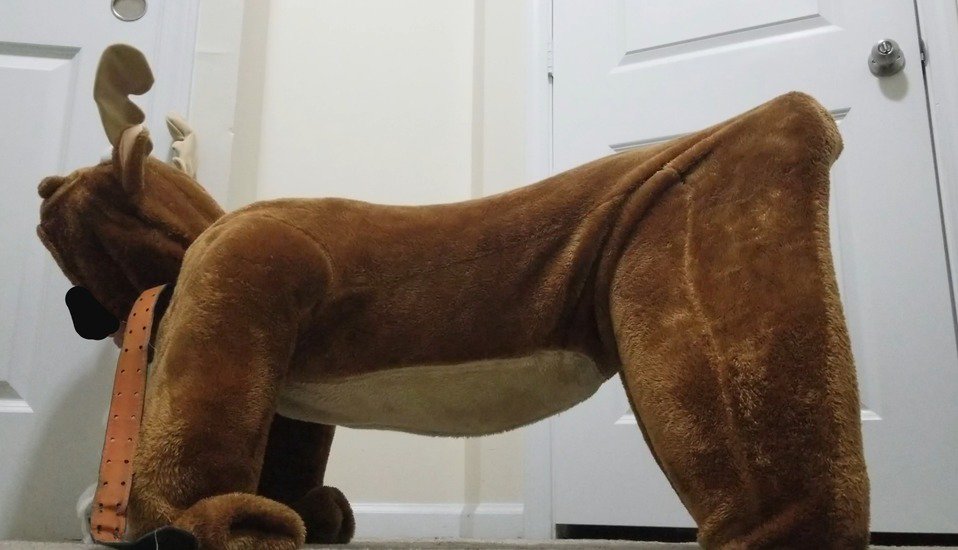 BitchSuits on Twitter: "Follow @BitchSuitBDSM for more #Bitchsuits #Bitchsuit #bondage #BDSM ...