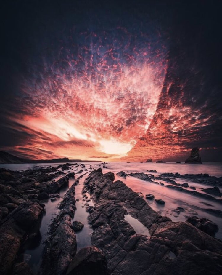 18 best Twitter @matt_pinner images on Pholder | My photo of the Blood ...