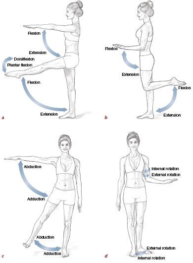 Knee And Hip Flexion And Extension PPT Pre Lateral Photograph II Hip
