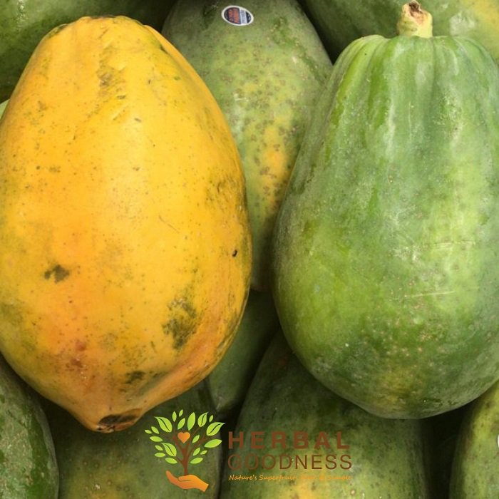 Unripe Papaya