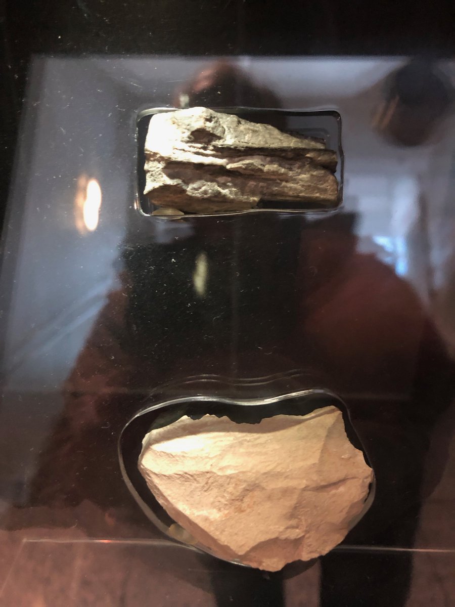 Stunning example of deep time: these rocks brought back by Hillary from ...