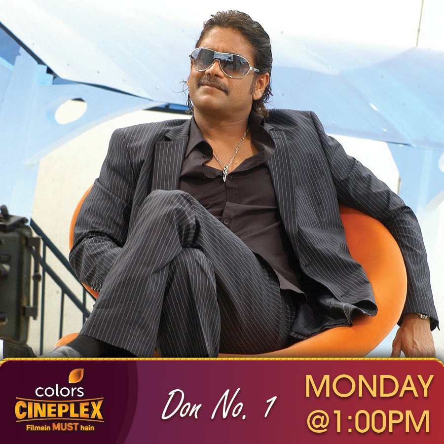 Nagarjuna In Don No 1