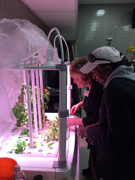 OPCOM Link (@OPCOM_group) | Twitter