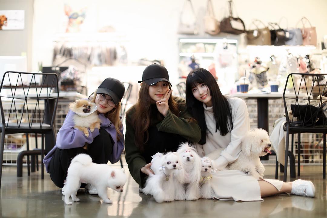 [TWICE] FANCY Unit Teaser