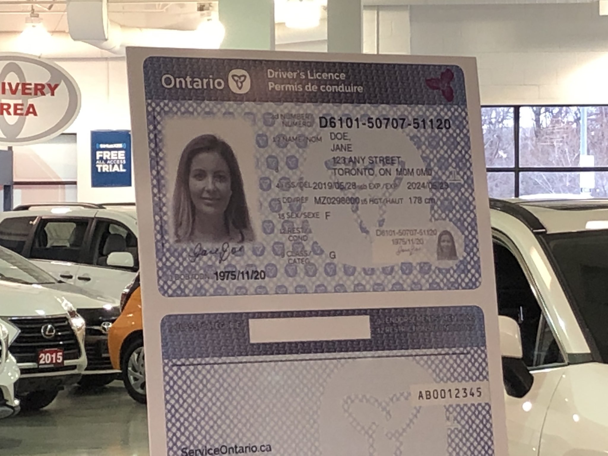 Ontario Driver S License