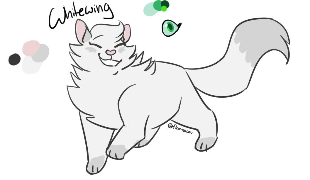 Warrior Cats Whitewing