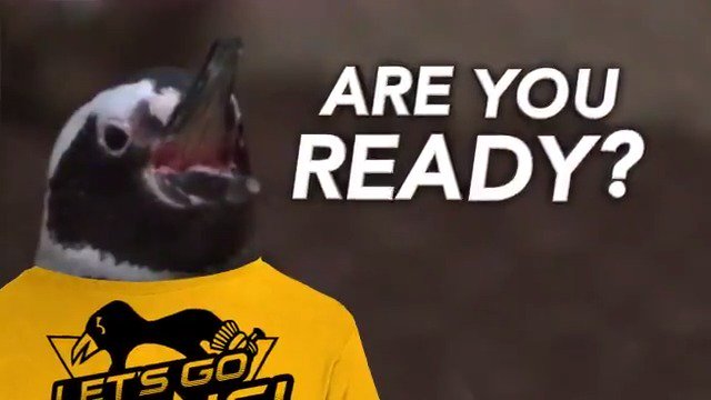 84 best Letsgopens images on Pholder | Penguins, Emalkin71geno and ...