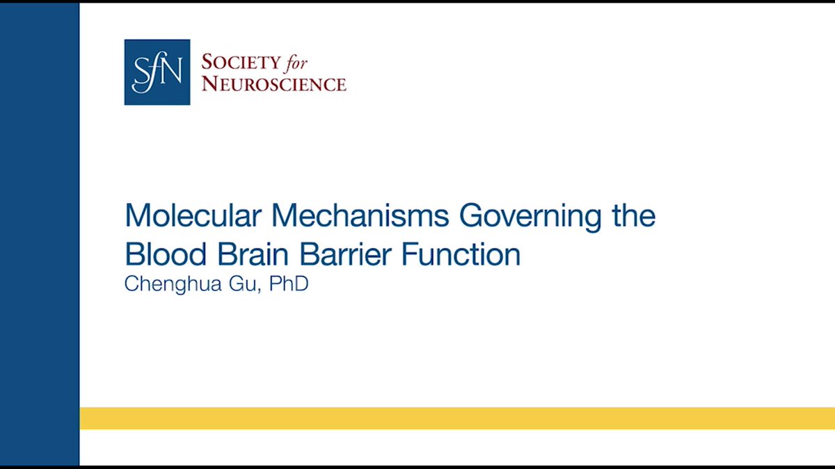 Lucy Gee (@Lucymgee) | Twitter