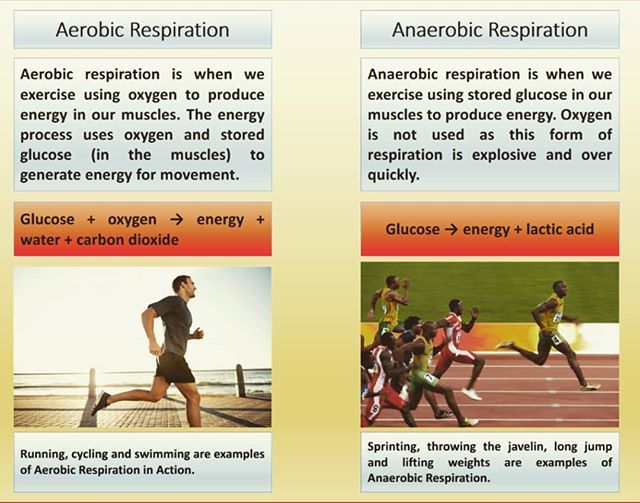 Aerobic Respiration Vs Anaerobic Respiration