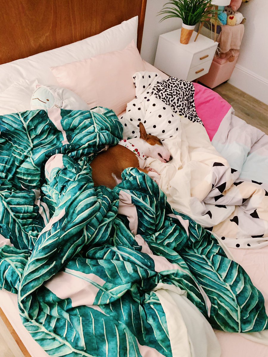 116 best Twitter u/laurdiy images on Pholder | cue seasonal allergies lol