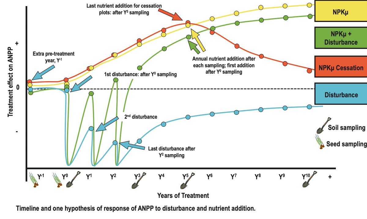 Thread by @NutNetGlobal: "We are launching a new distributed experiment ...