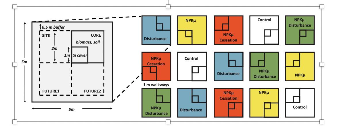 Thread by @NutNetGlobal: "We are launching a new distributed experiment ...