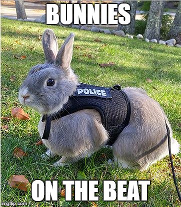 Easter Long Weekend Meme