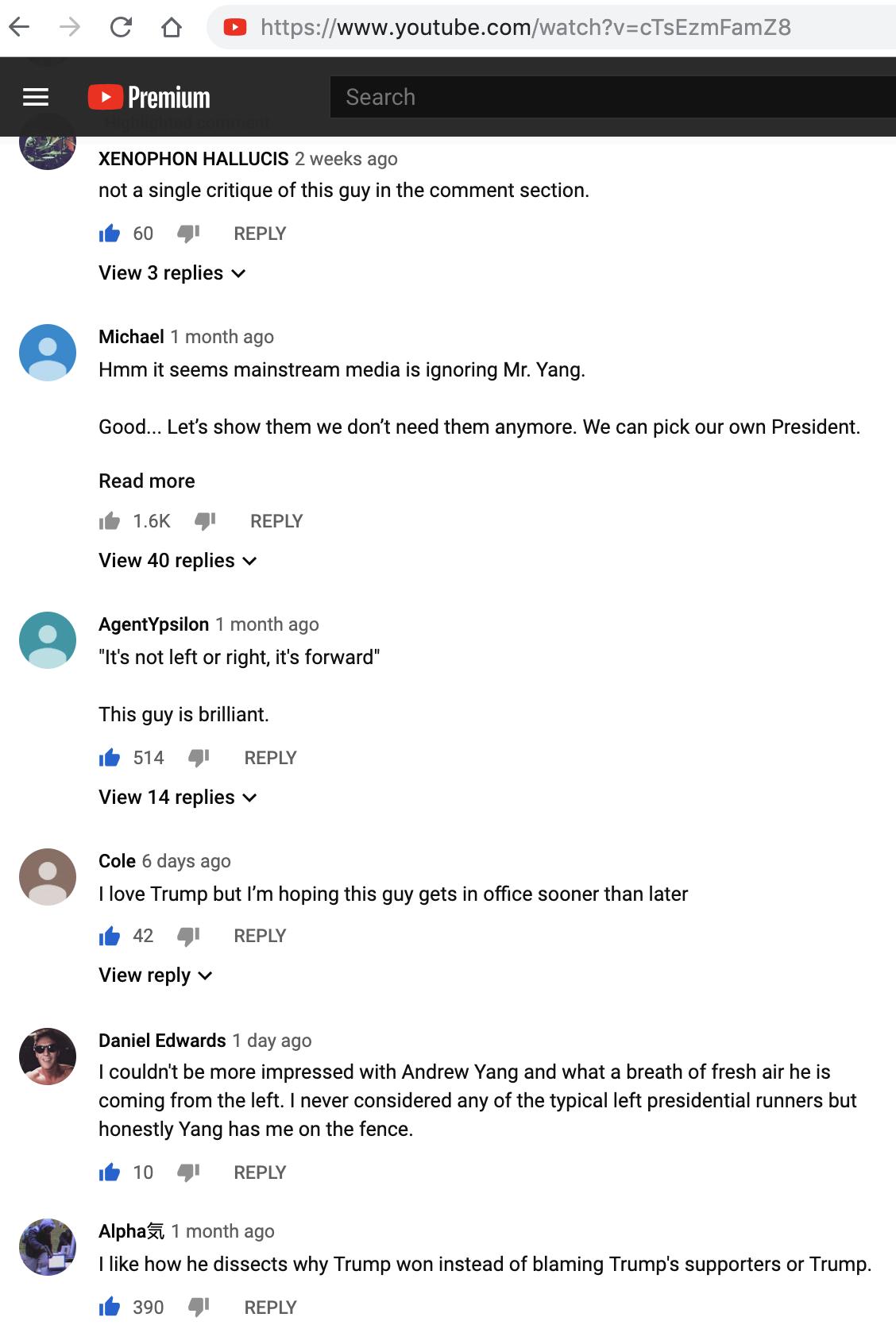 Typical Youtube Comments